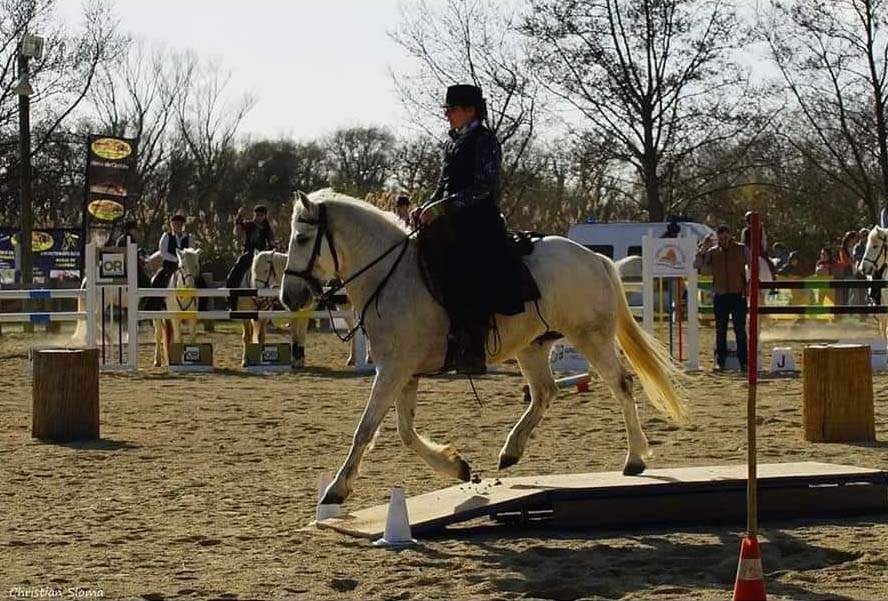 Cours d'équitation dressage aux Ecuries des Terres du Nord à Somme ...